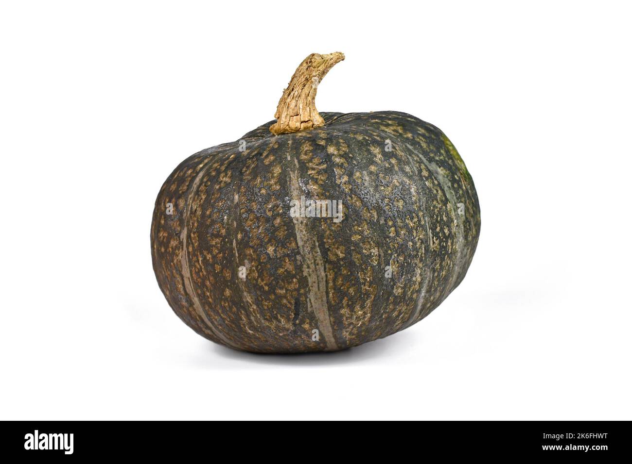 Green Kabocha Hokkaido squash on white background Stock Photo - Alamy