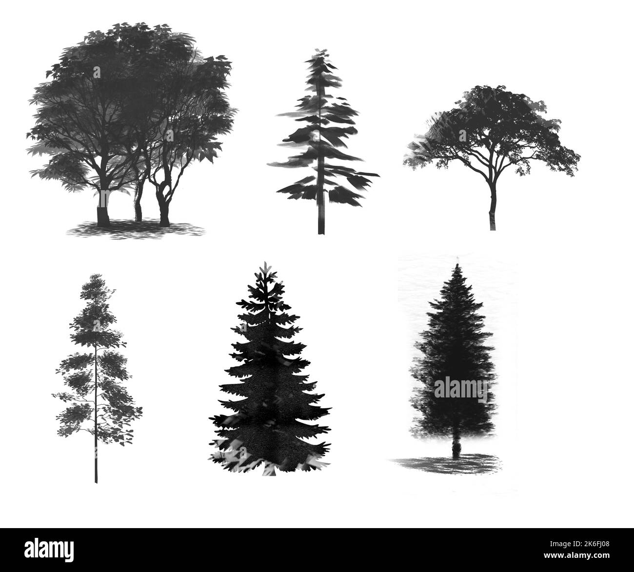Clipart trees hi-res stock photography and images - Alamy