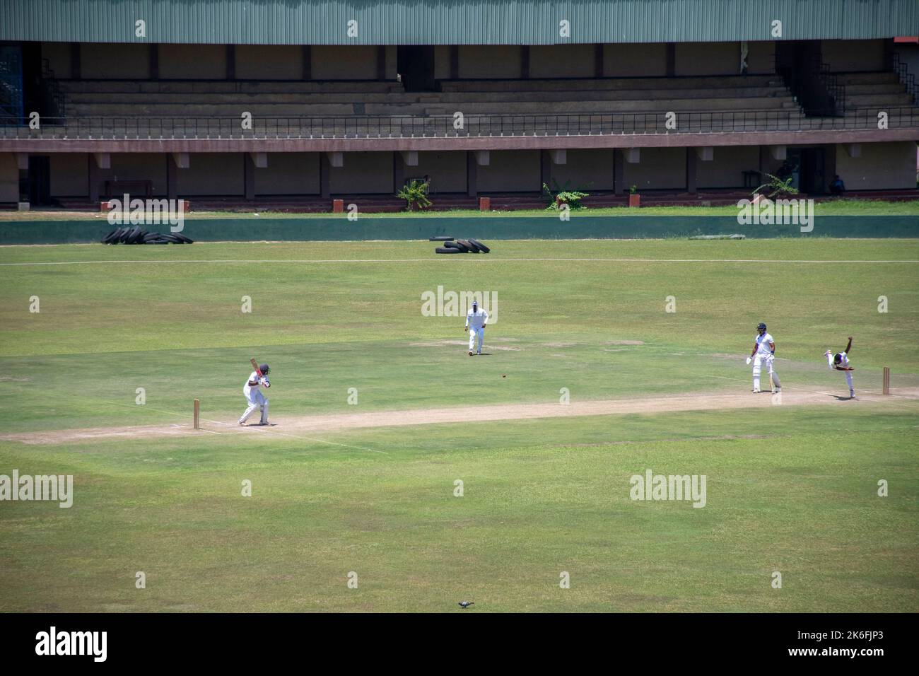 Cricket bat and ball vector hi-res stock photography and images - Alamy