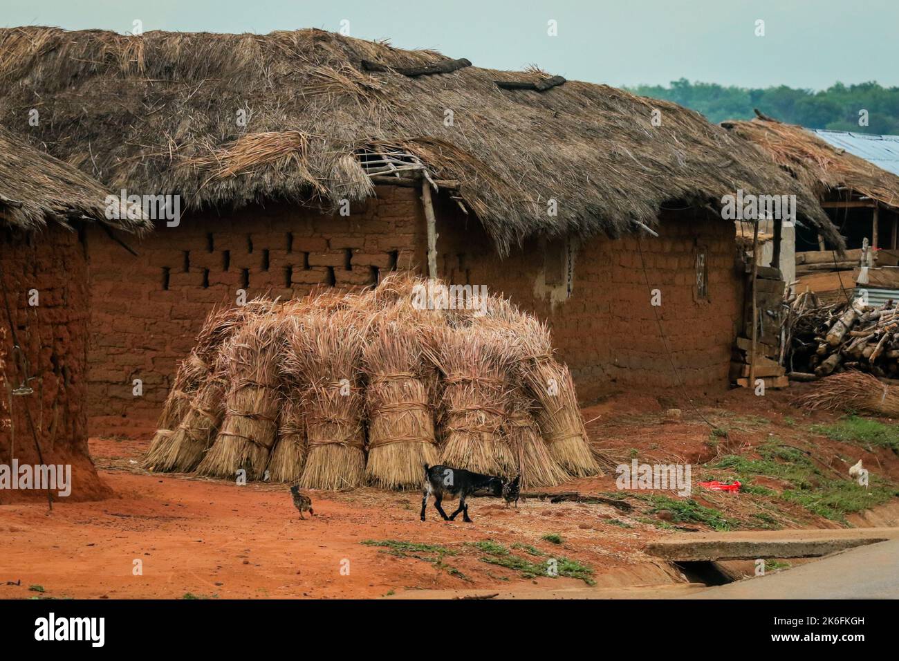 Traditional African Buildings made from Clay and Straw in Ghana village ...