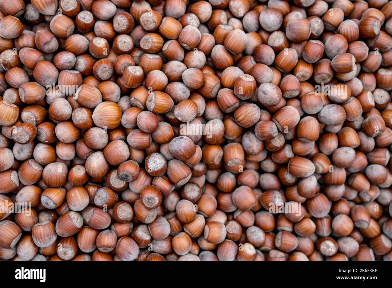 Hazelnuts. Stack of hazelnuts. Food background. Hazelnut background ...