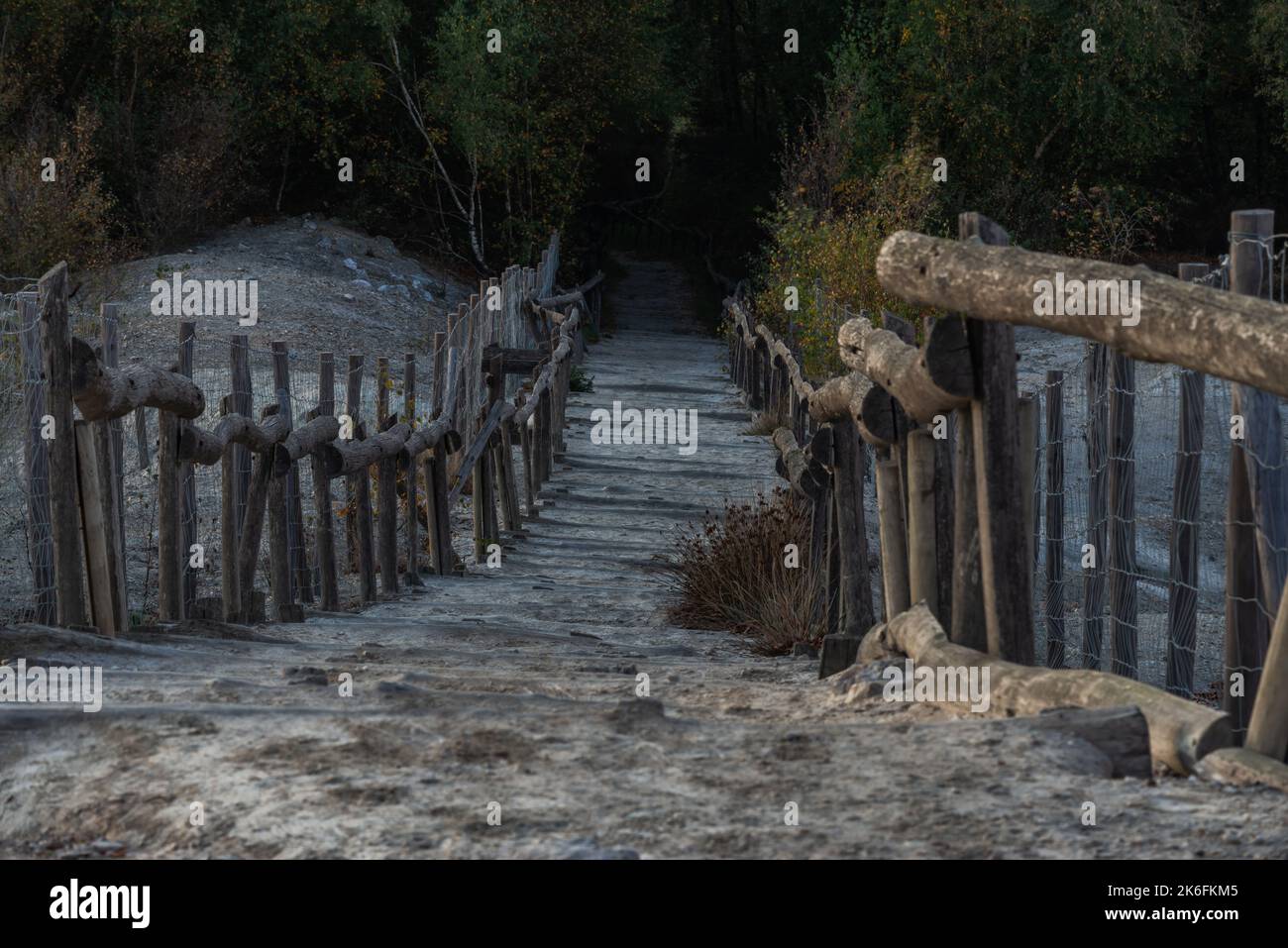 Stairs that descend to a dark forest. Night scene. Place for text Stock ...