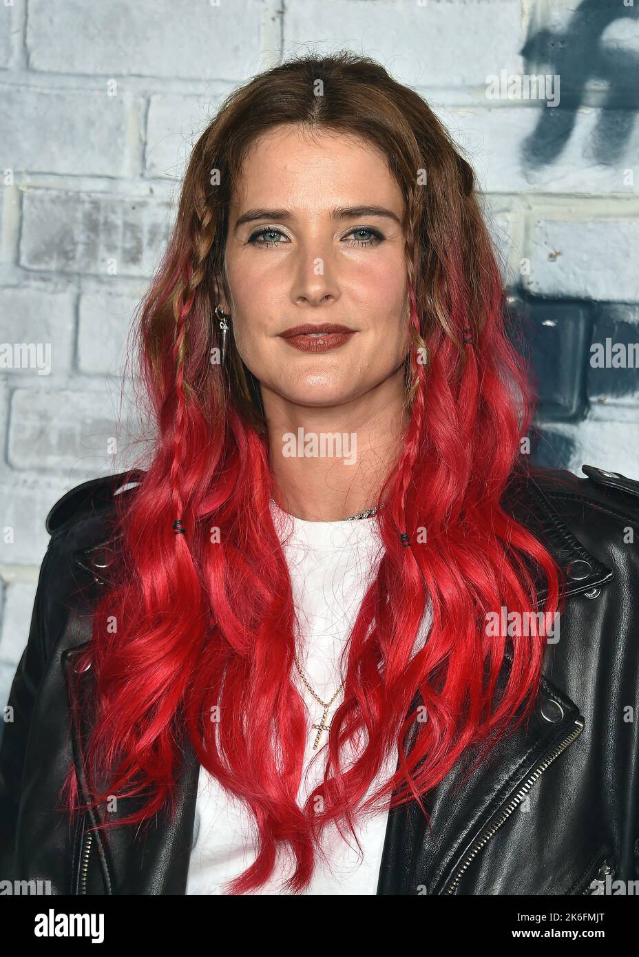 Cobie Smulders 2022 Hair