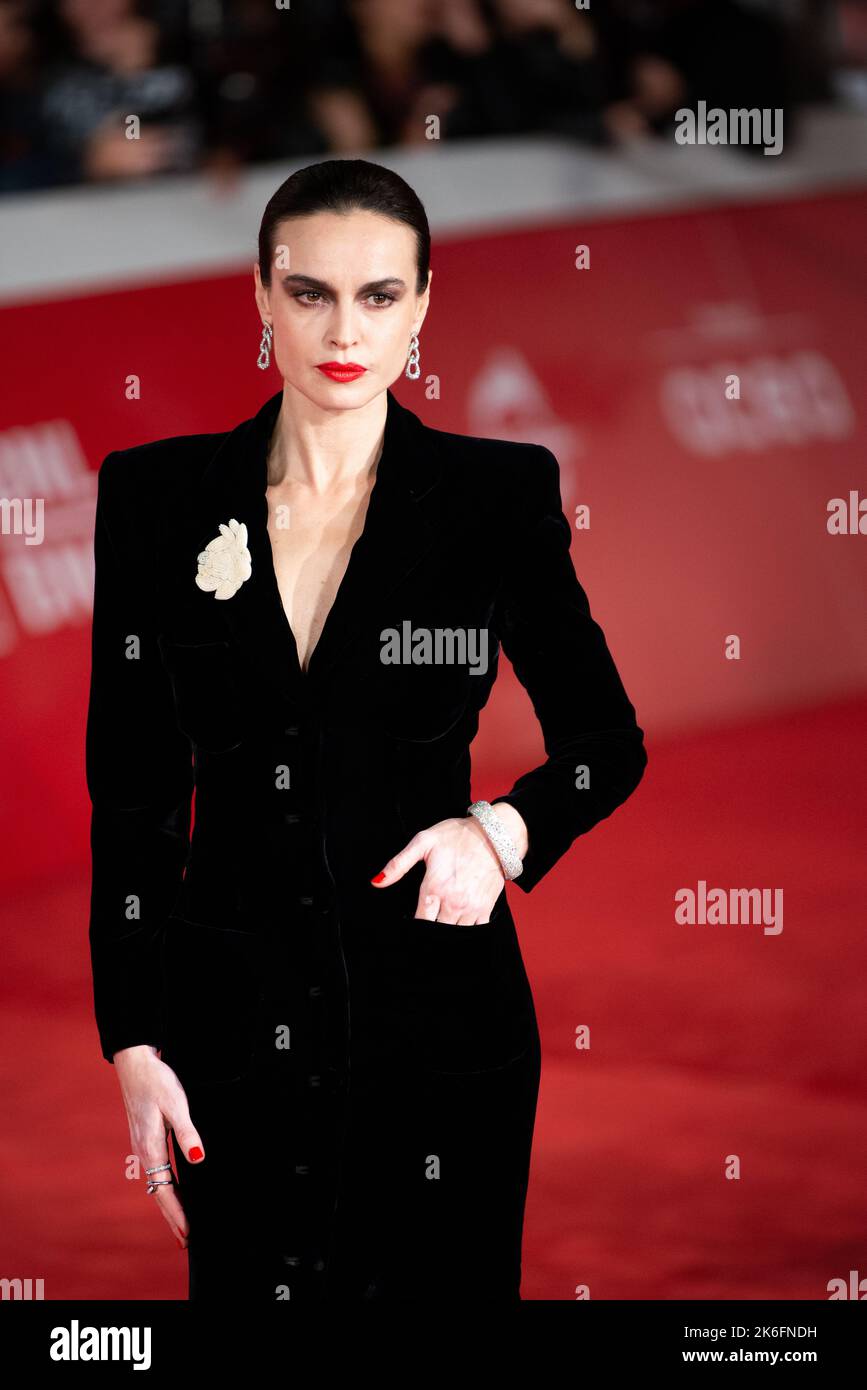 Red carpet of Il Colibrì with whole cast and guests at 17th Rome Film ...