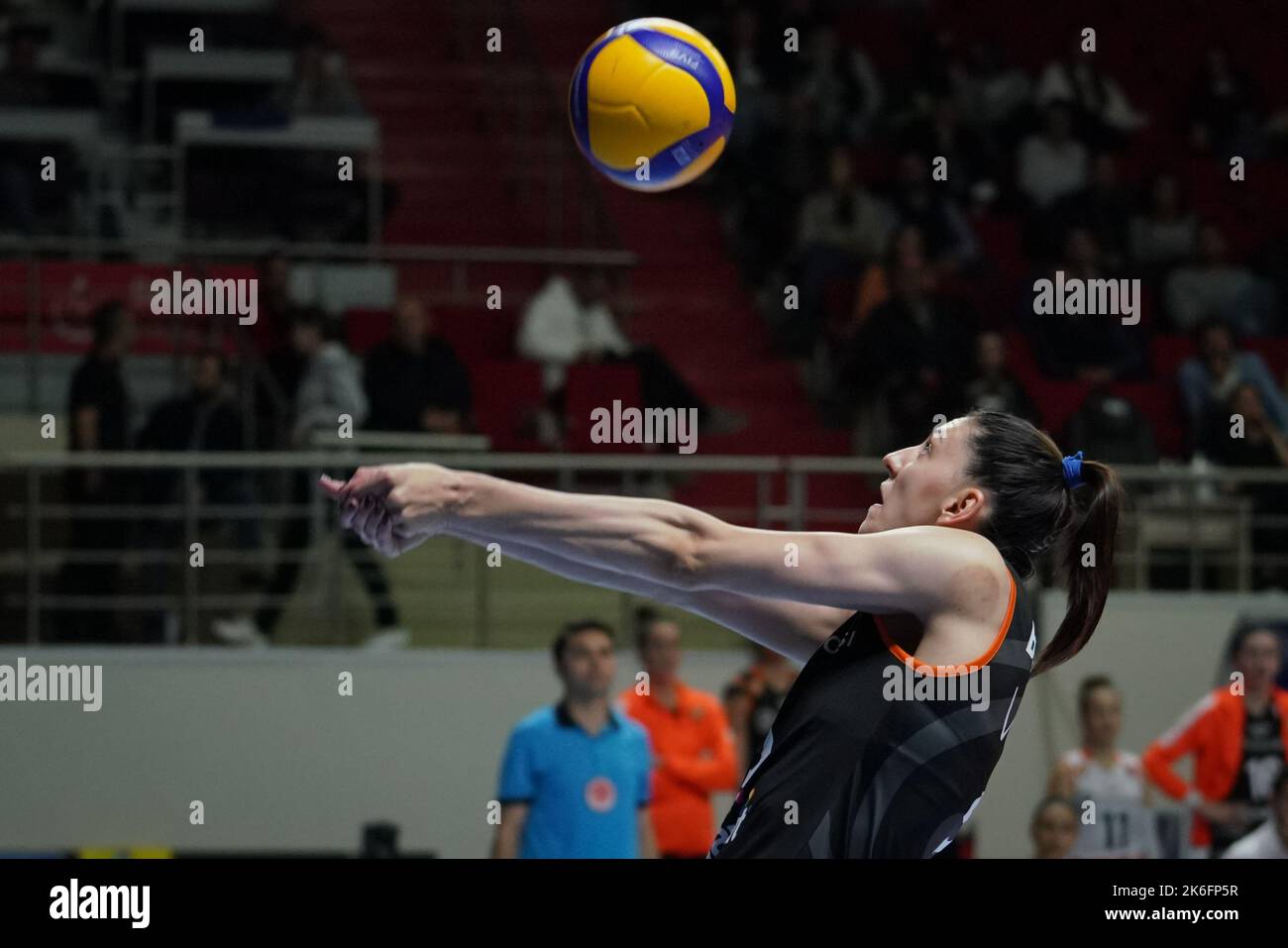 Boskovic volleyball 2022 hi-res stock photography and images - Alamy