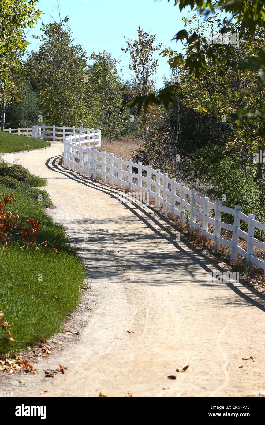 Narrow winding garden path hi-res stock photography and images - Alamy