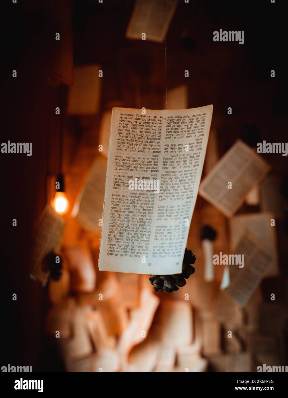 Book sheet hi-res stock photography and images - Alamy