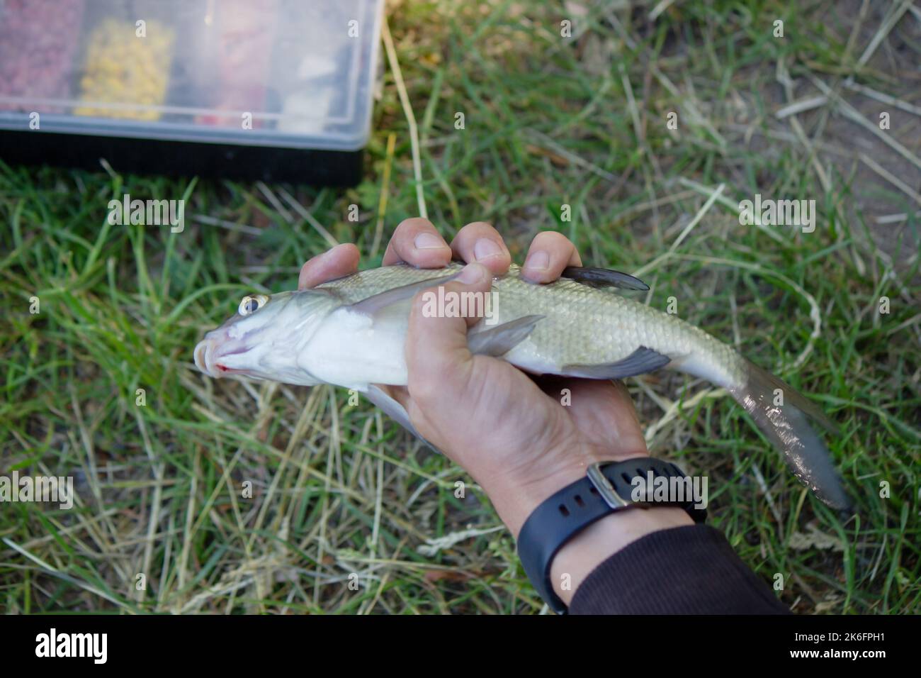 Fishing. Close-up of a fishing hook .Selective focus Stock Photo - Alamy