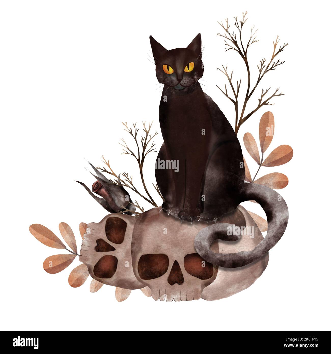 A black cat sits on the turtles.Watercolor illustration for Halloween ...