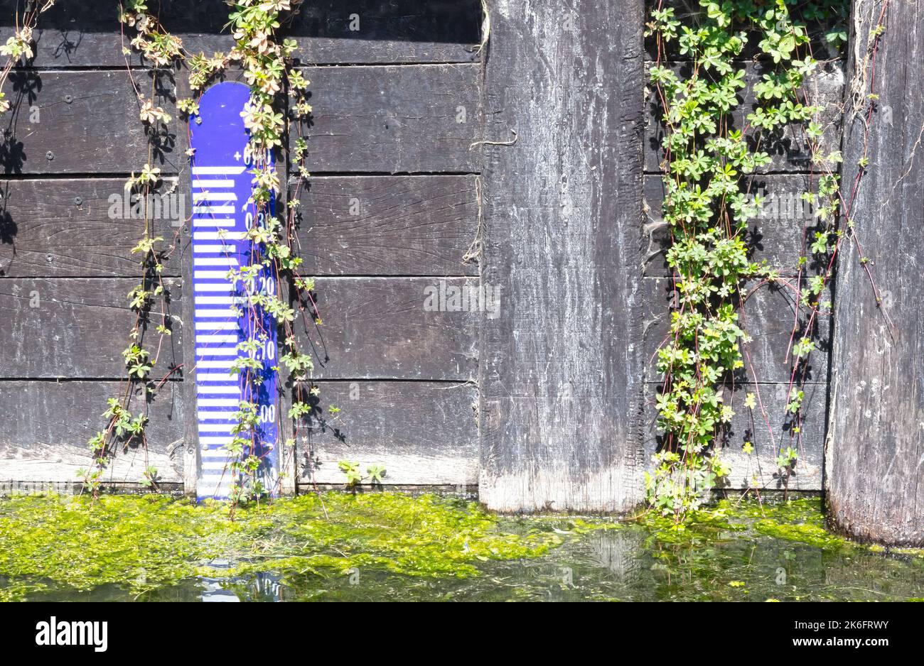 Blue ruler indicating the height of the water Stock Photo - Alamy