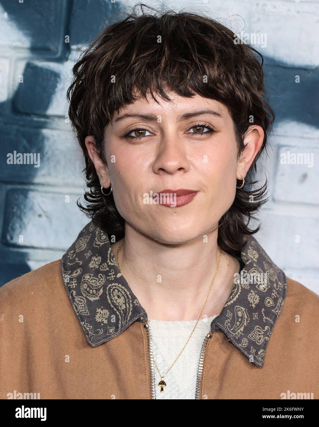 HOLLYWOOD, LOS ANGELES, CALIFORNIA, USA - OCTOBER 13: Canadian musician ...