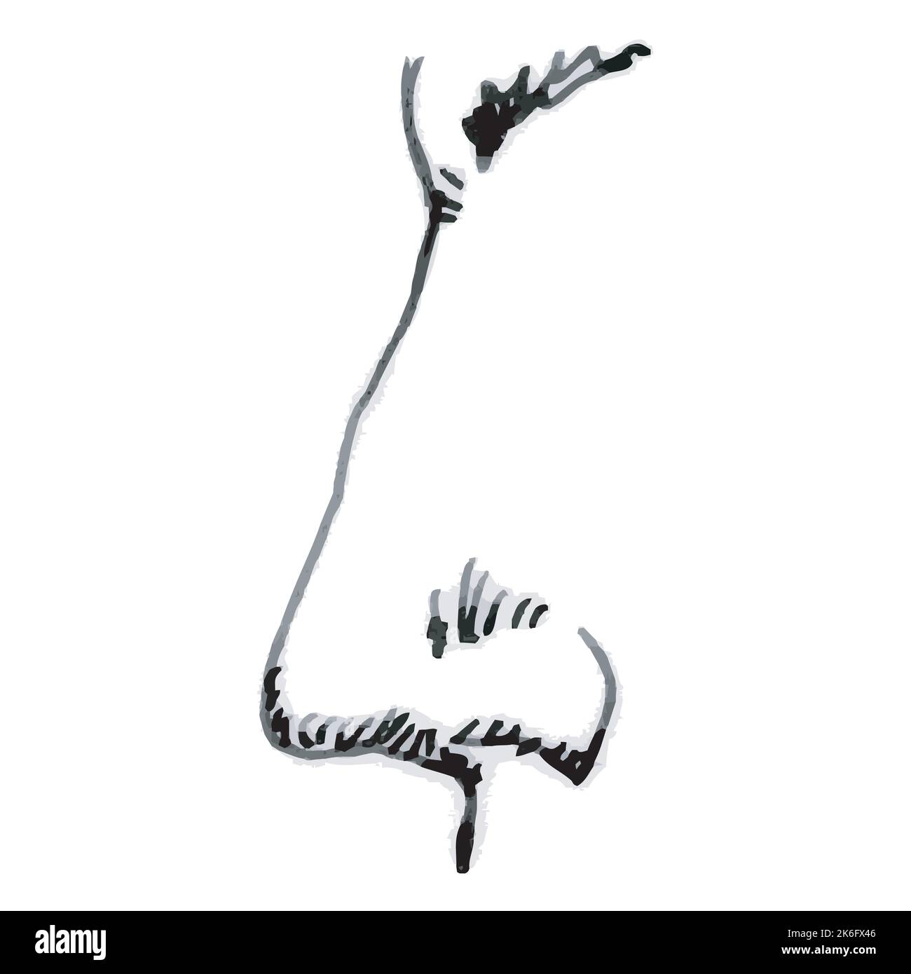 Drawing of a human nose, side profile, vector illustration Stock Vector ...