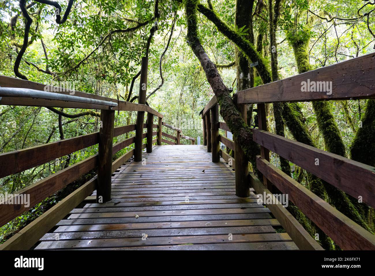 Graskop gorge elevator hi-res stock photography and images - Alamy