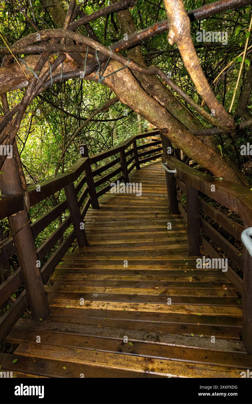 The Graskop Gorge Lift Company is centrally located on the Panorama ...