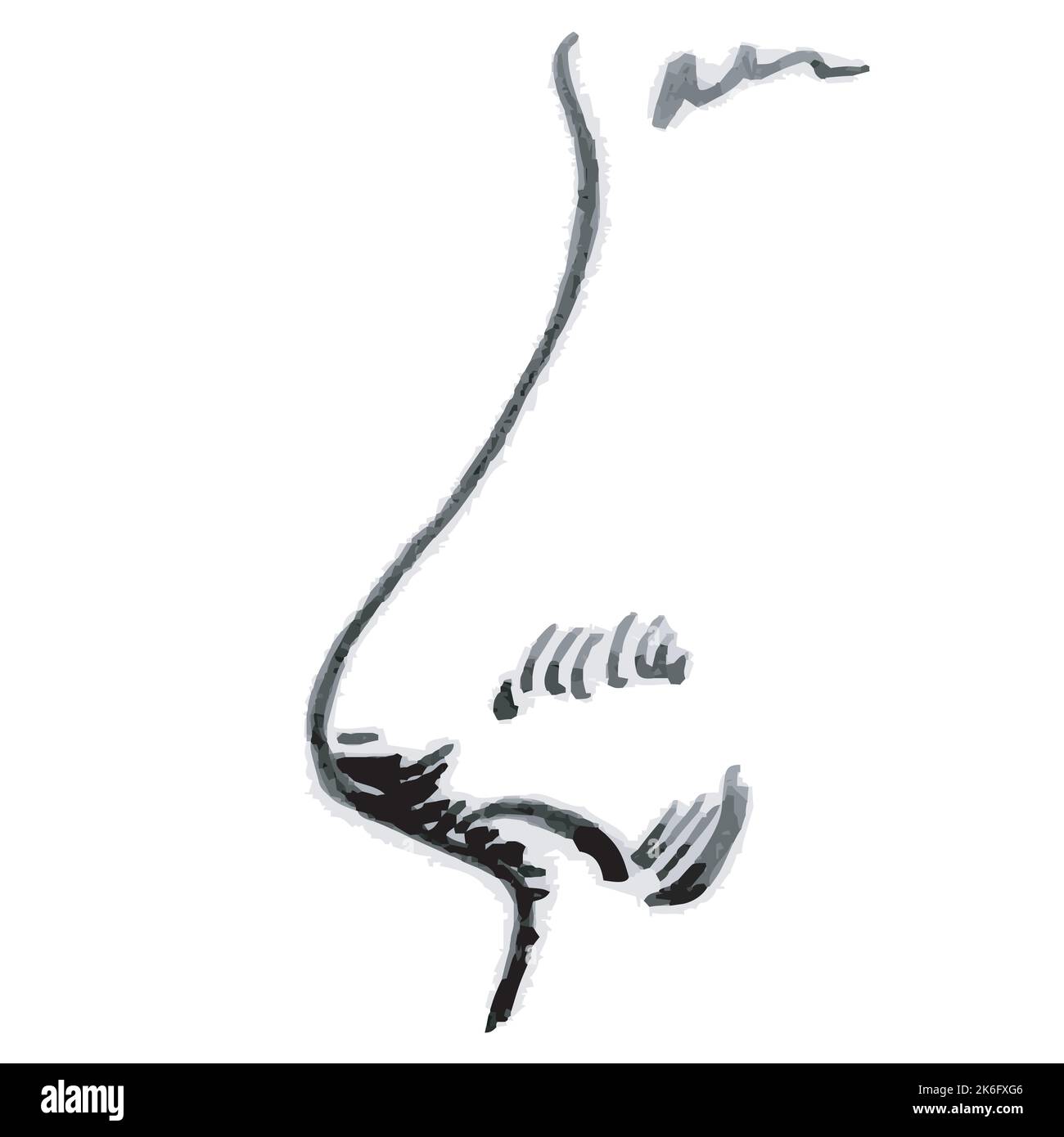 Nose Drawing Profile