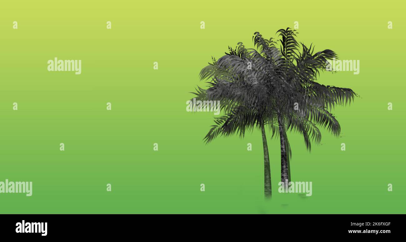 Illustration of blurred palm trees against green gradient background ...
