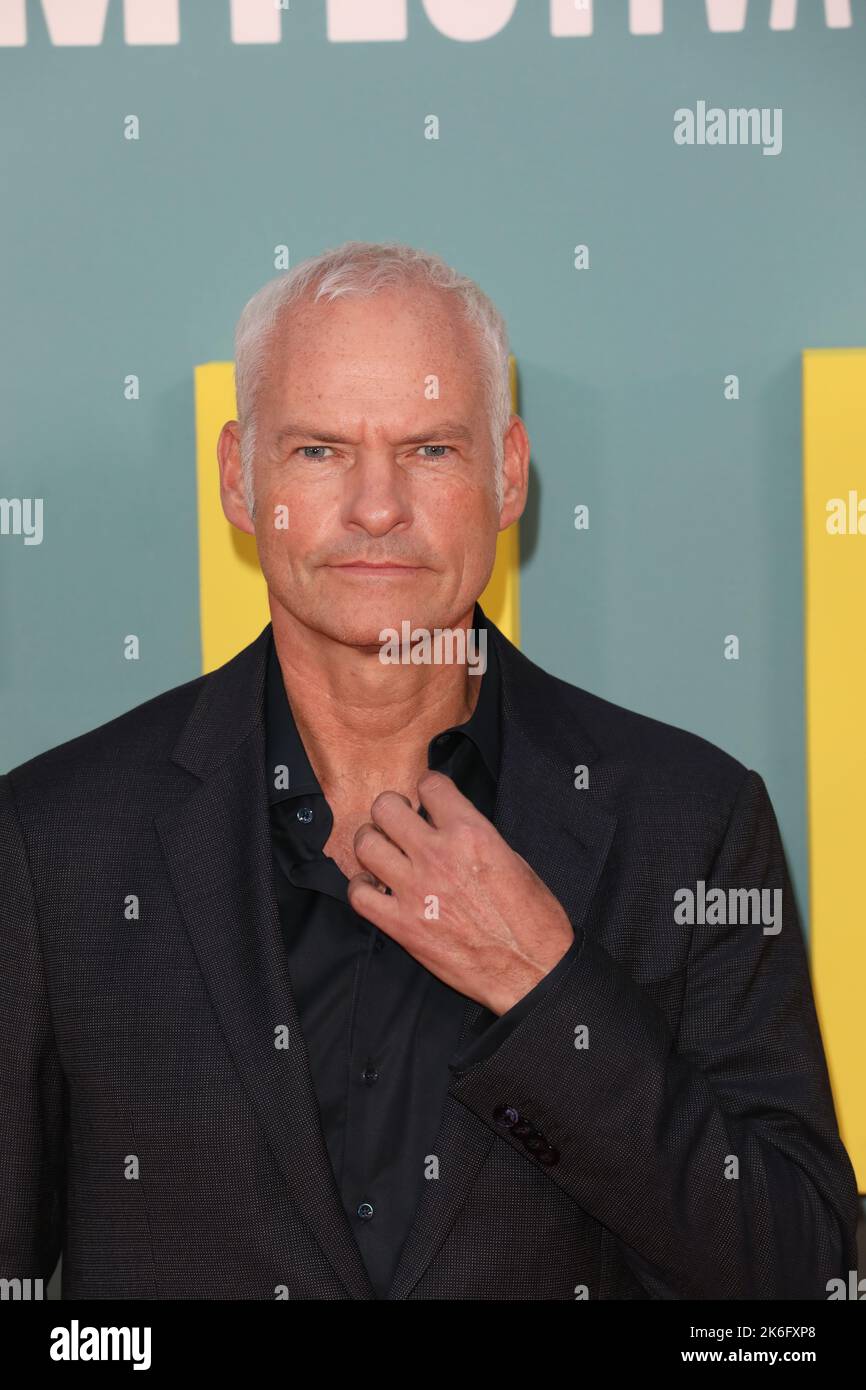 Martin McDonagh attends the film premiere of 'The Banshees of Inisherin ...