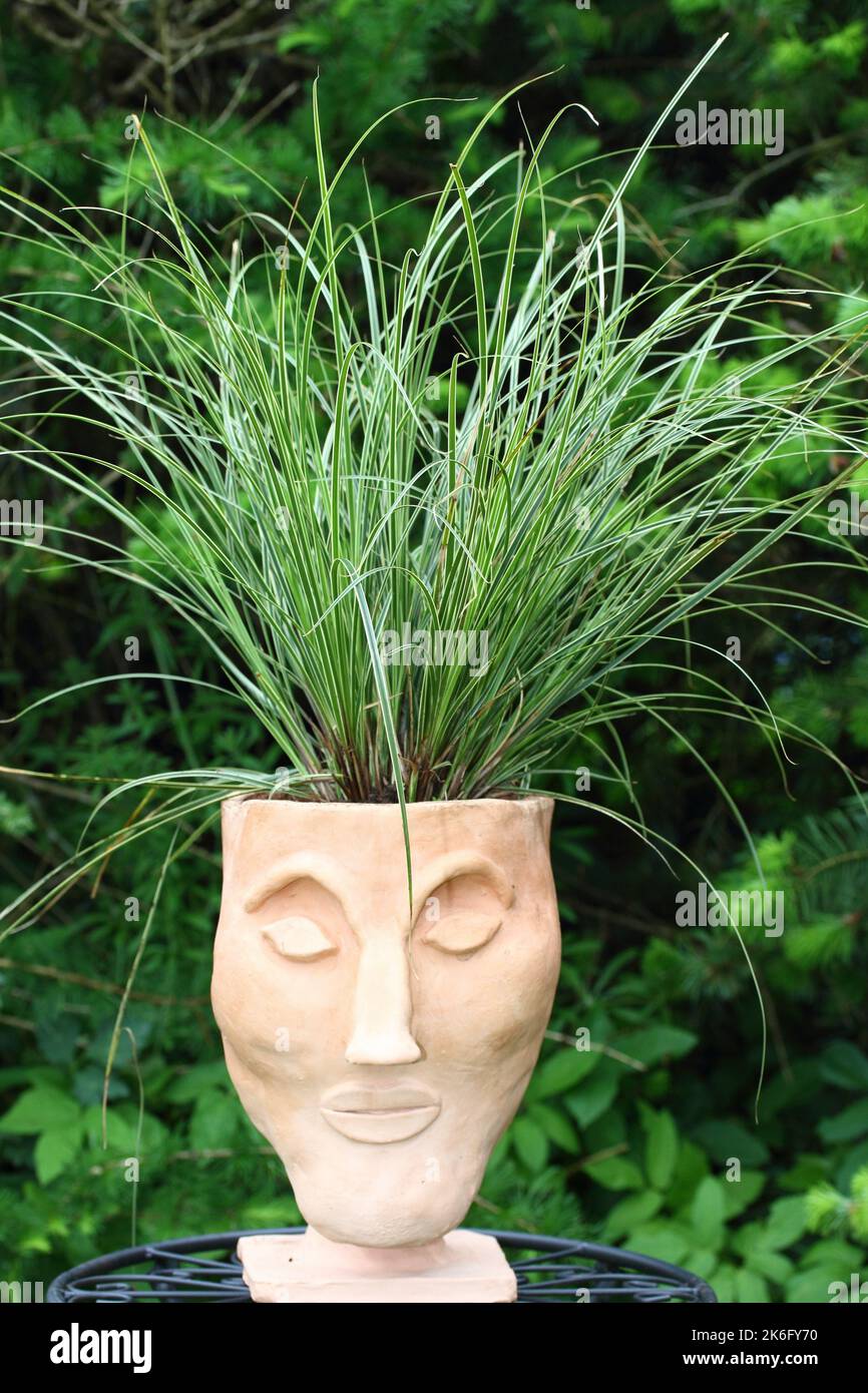 A clay head with hair from grass Stock Photo - Alamy