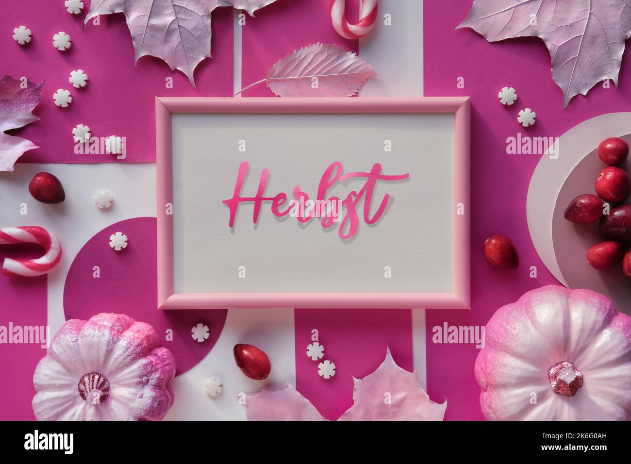 Autumn magenta background with painted maple leaves, pumpkins ...