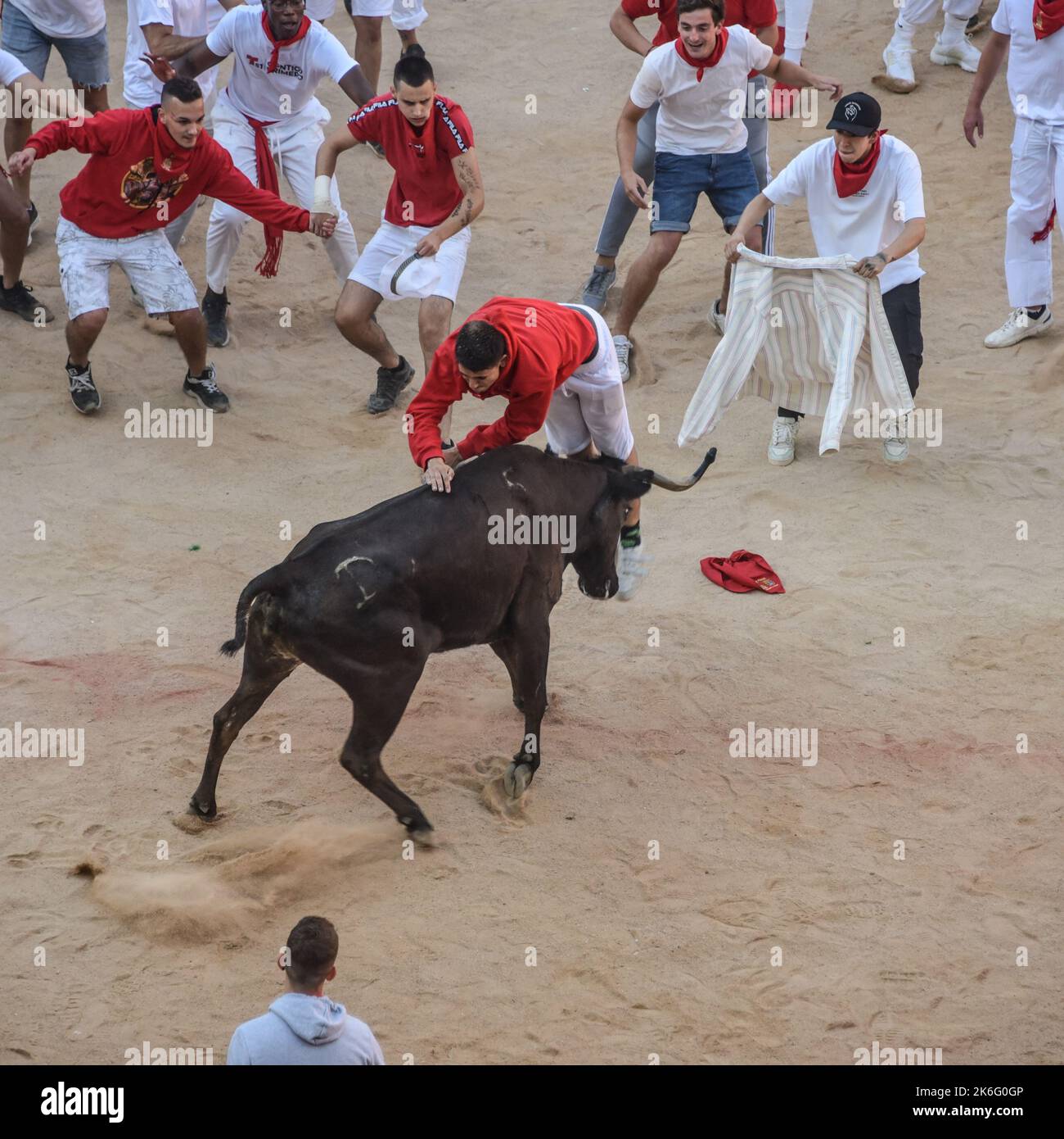 Plaza de toros de pamplona hi-res stock photography and images - Alamy