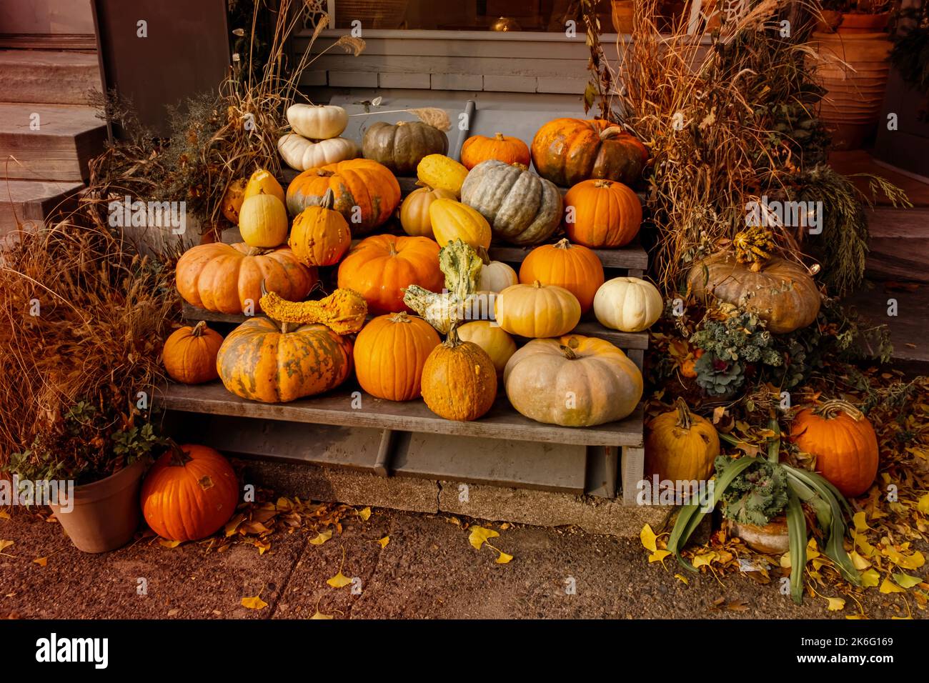 Fall and halloween decoration front porch during october Stock Photo ...
