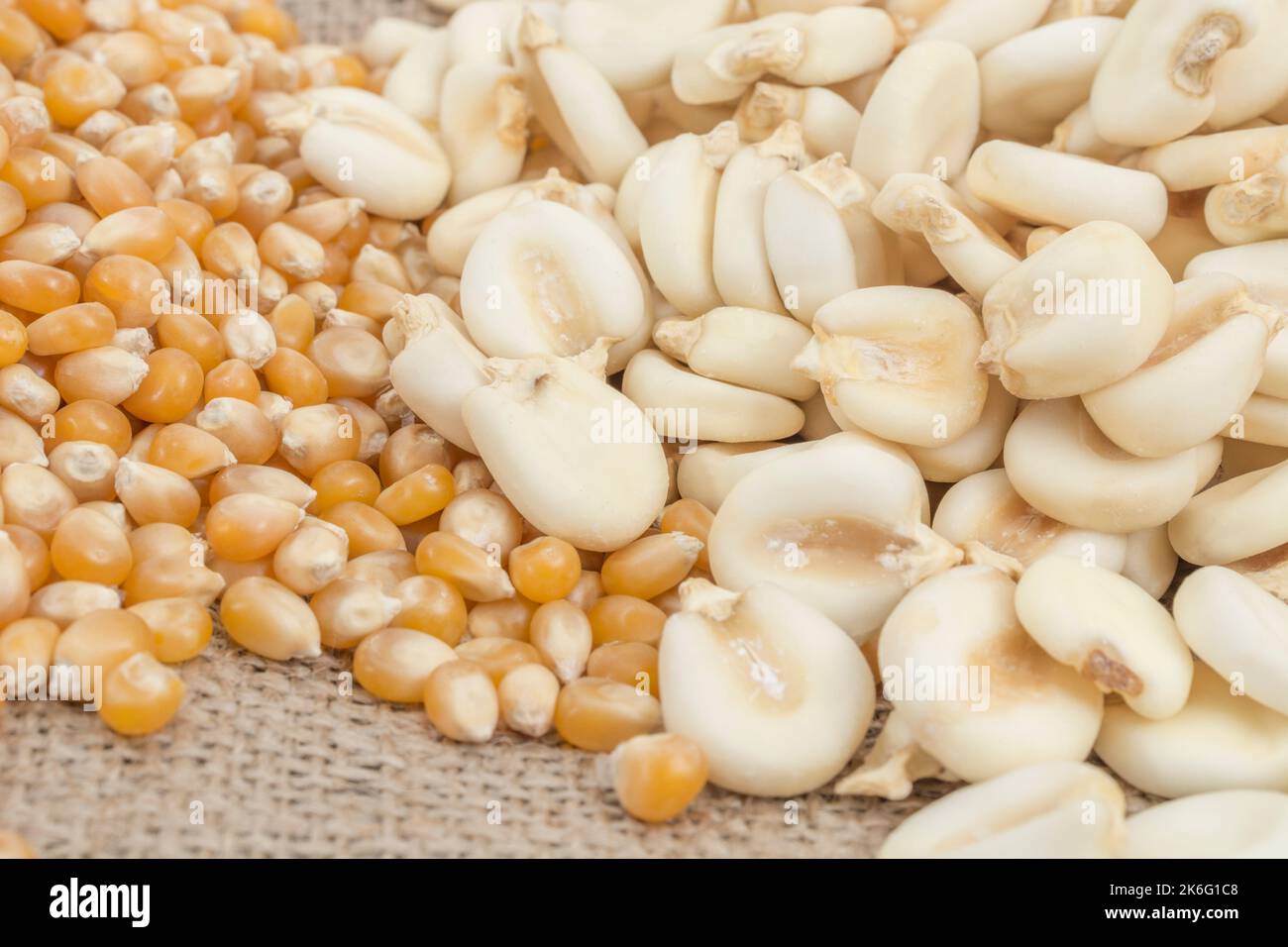 Maïs pozolero blanco hi-res stock photography and images - Alamy
