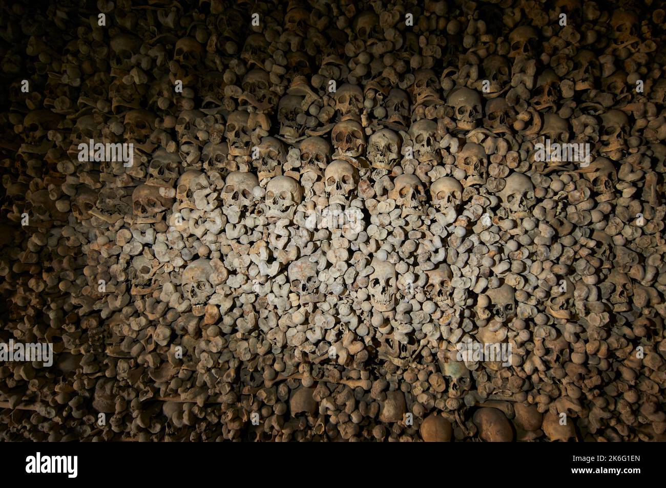 Skull skeleton grave hi-res stock photography and images - Alamy