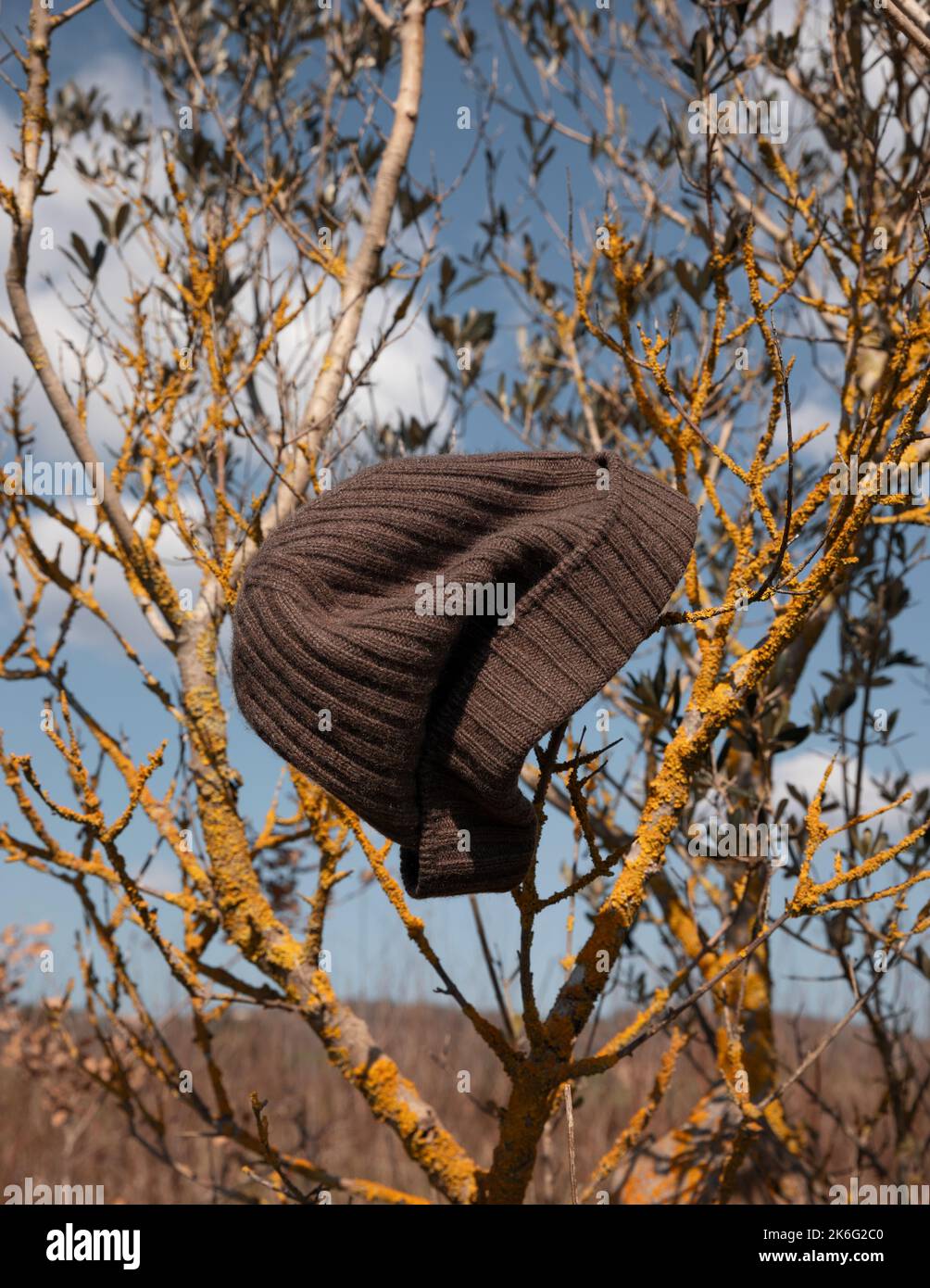 Cashmere colours hi-res stock photography and images - Alamy