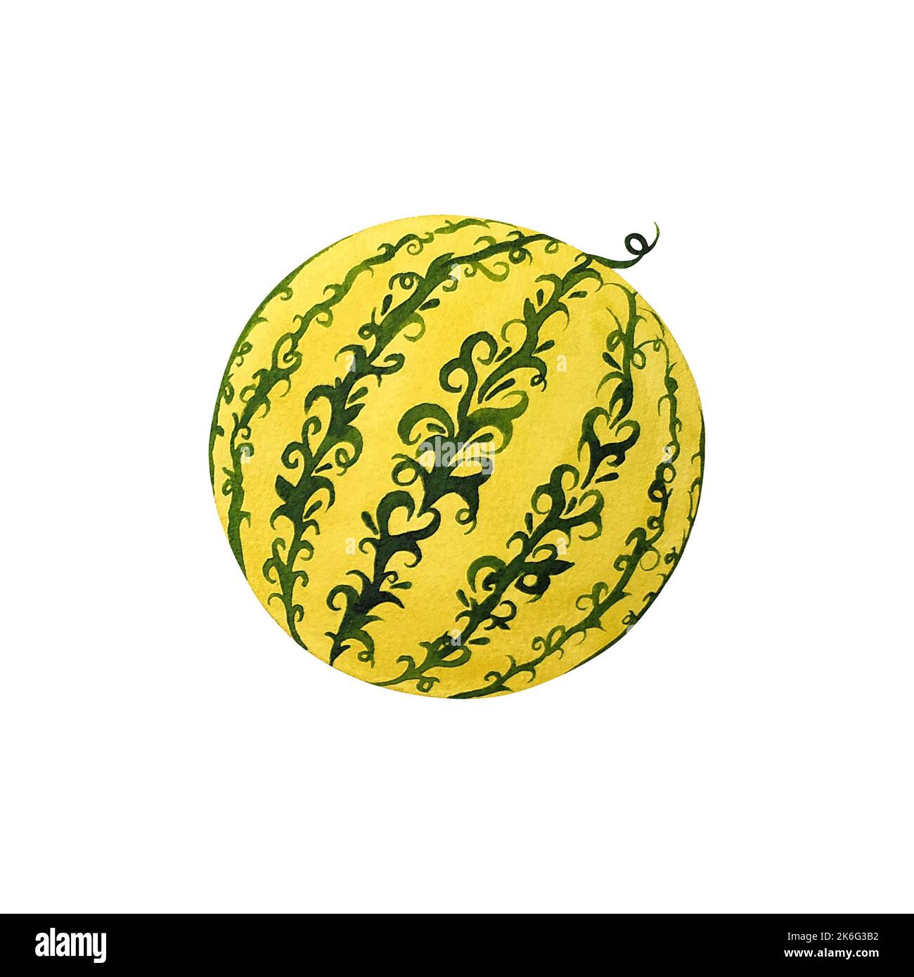Stylized watermelon. watercolor illustration. delicious watermelon ...