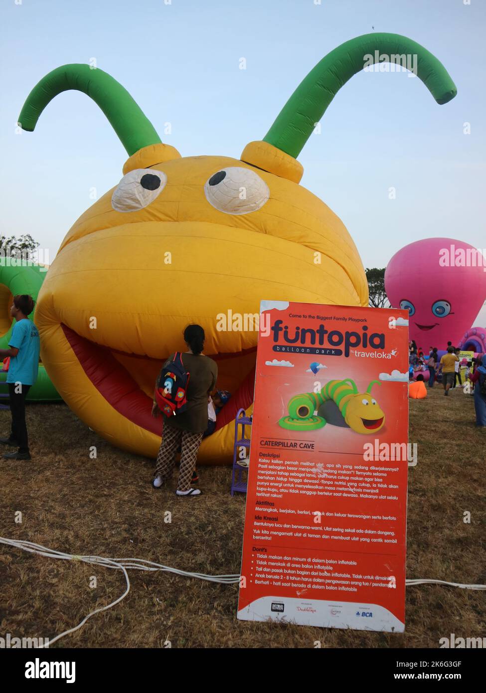 Giant inflatable jump balloons in various shapes for children to play ...