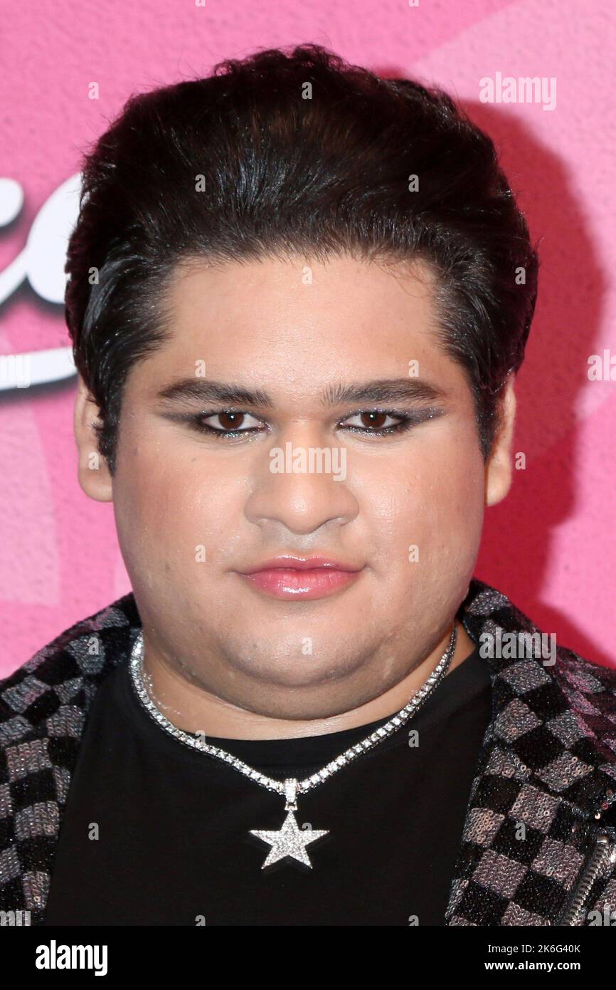 Los Angeles, CA. 13th Oct, 2022. Fernando Carsa at arrivals for ...