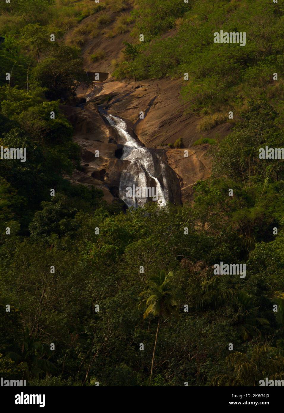 This clean stream is in the western ghats of India Stock Photo - Alamy