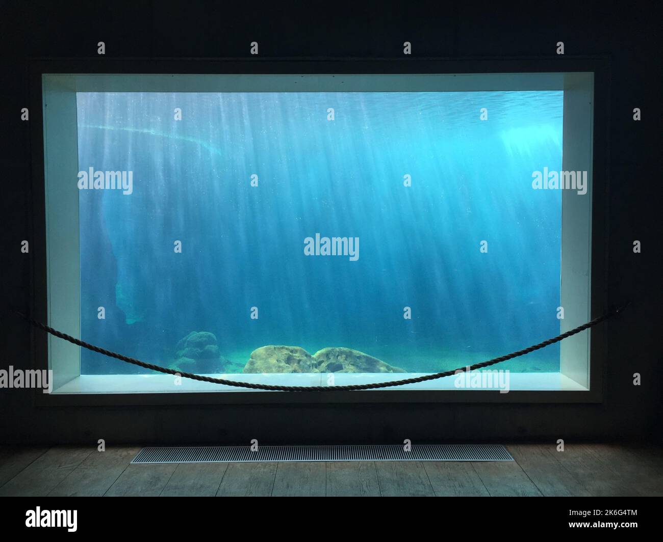 Empty fish hall hi-res stock photography and images - Alamy