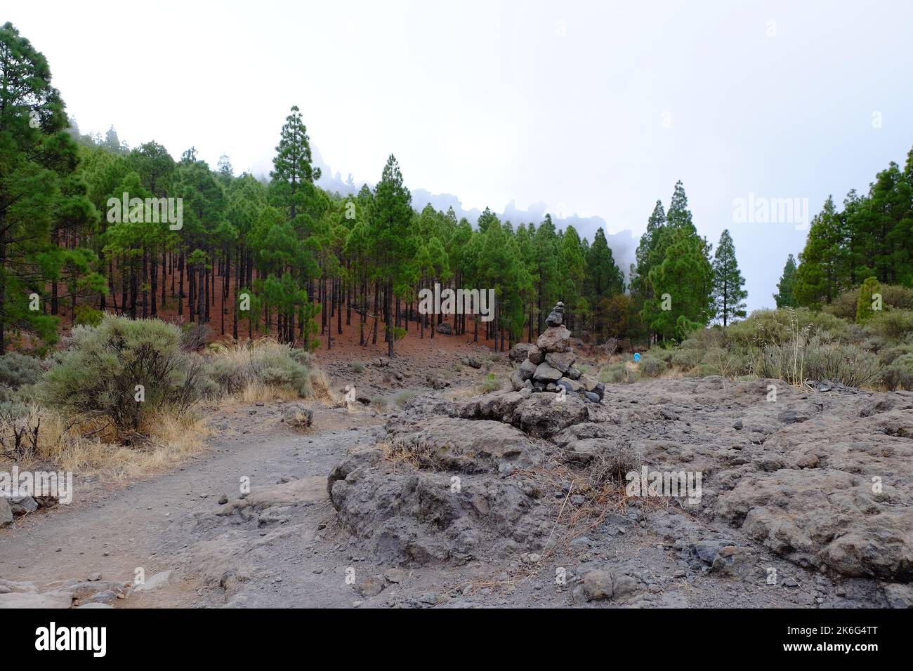 The heap of rocks against the background of the green forest Stock ...
