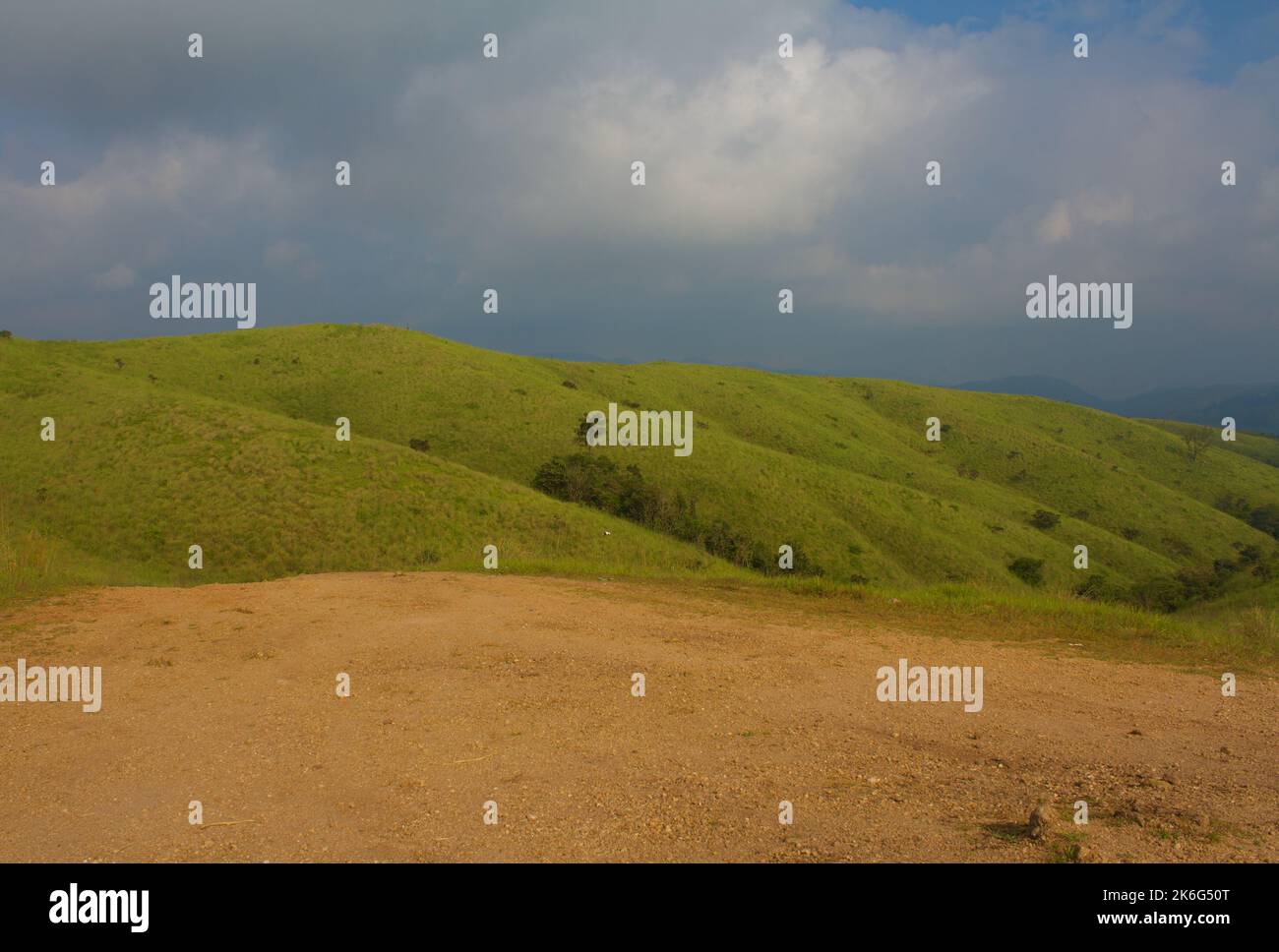 view of the green meadows in the morning, at vagabond, India Stock ...