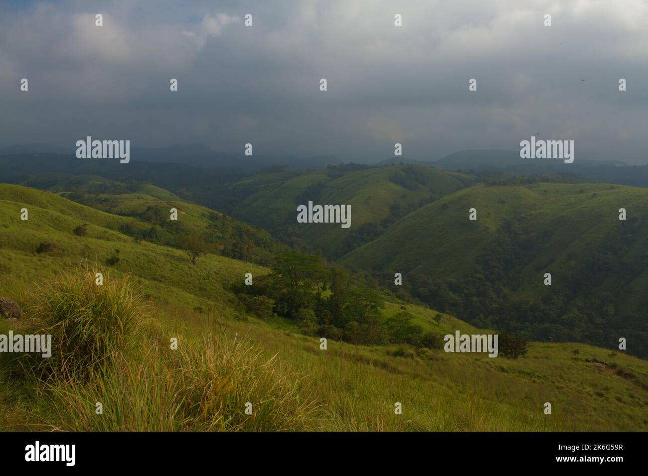 Beautiful meadows green grass hi-res stock photography and images - Alamy
