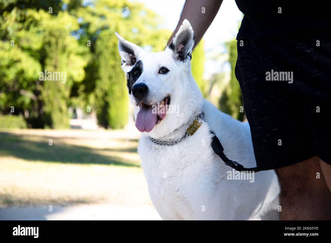 Shepherd man male hi-res stock photography and images - Alamy