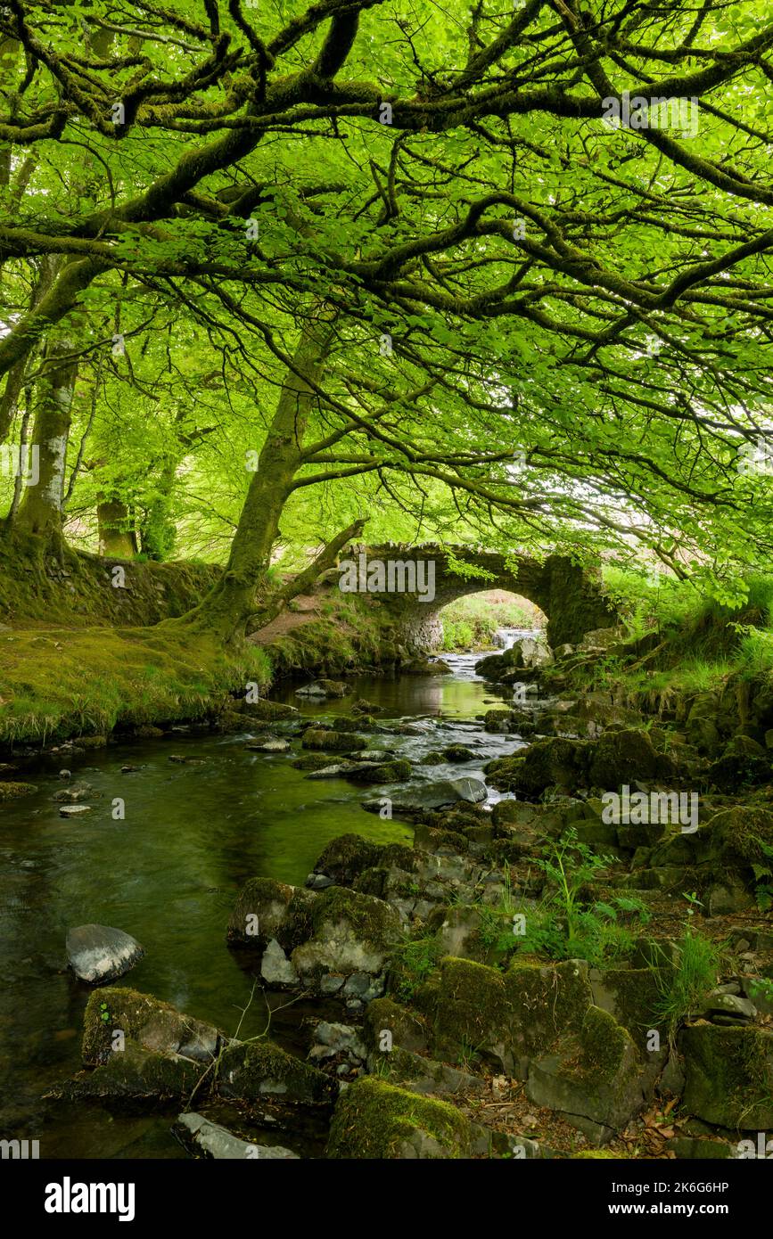 Robber's Bridge over Weir Water in Exmoor National Park, Somerset ...