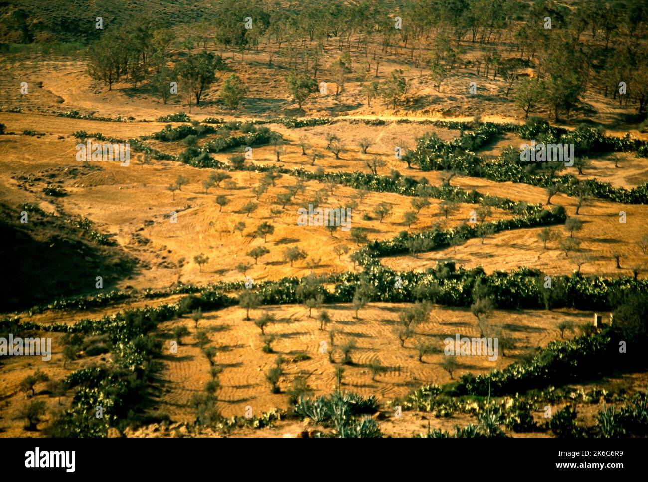 Enfidaville hi-res stock photography and images - Alamy