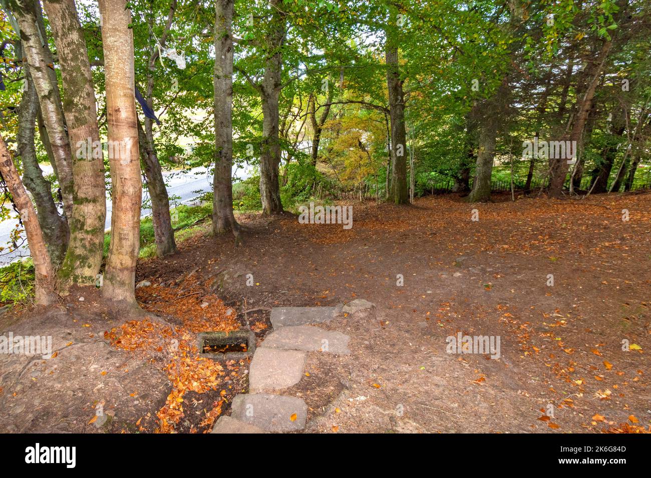 Munlochy Black Isle Scotland the Clootie Well after removal of all the ...