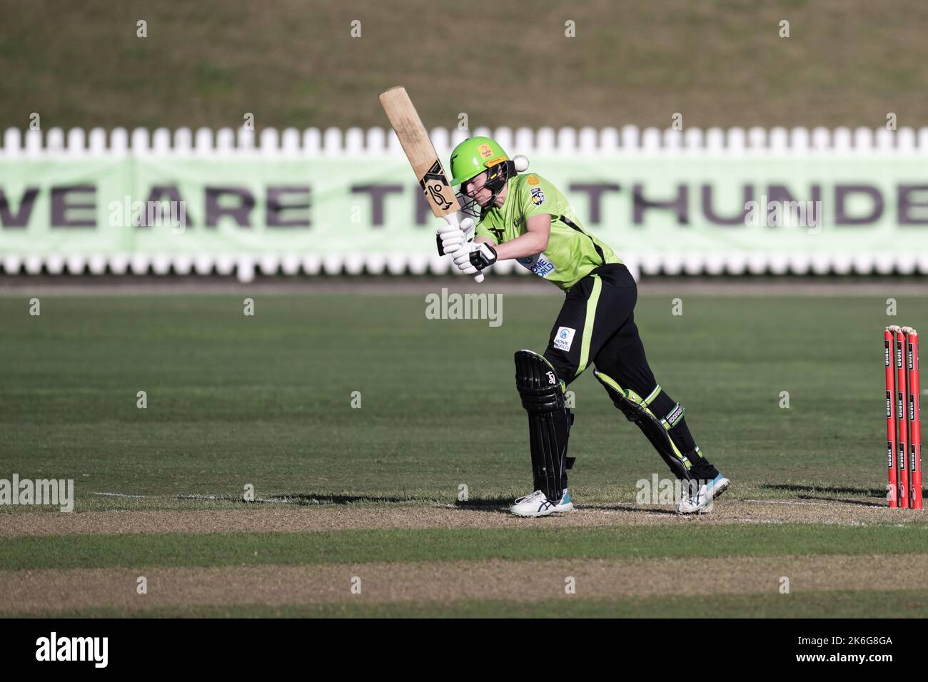 Tahlia wilson hi-res stock photography and images - Alamy