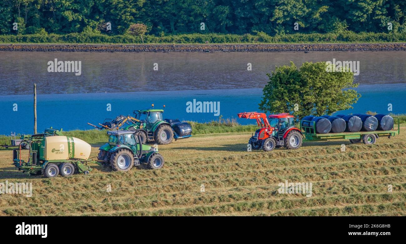 Team effort, 2 brothers ad their neighbour work together to wrap and ...