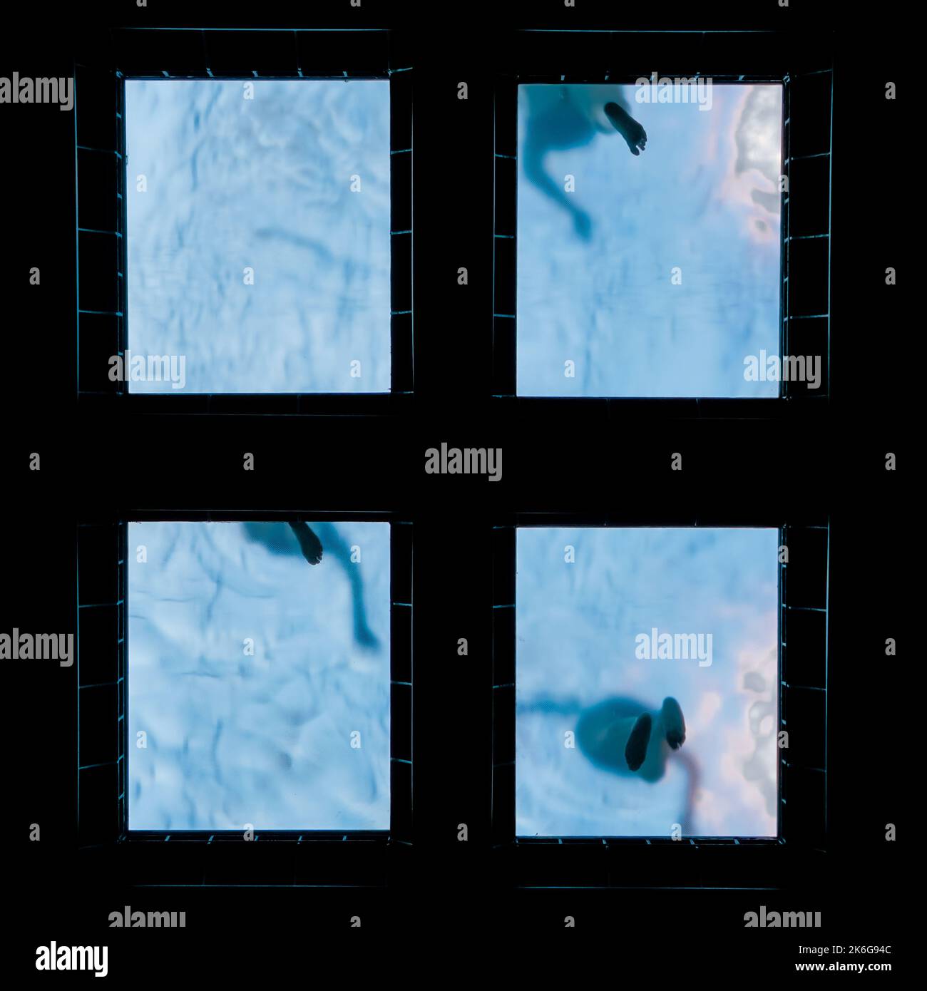 people swimming in the transparent swimming pool, recreational activity ...