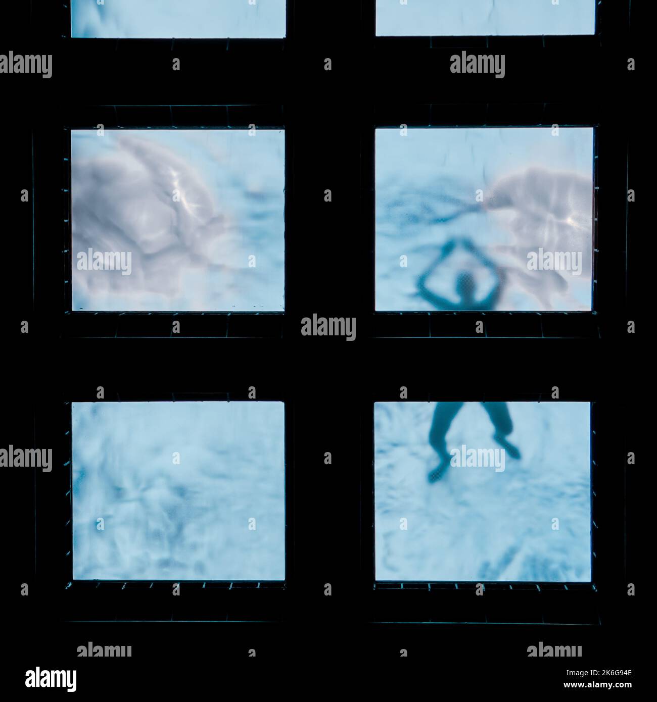 people swimming in the transparent swimming pool, recreational activity ...
