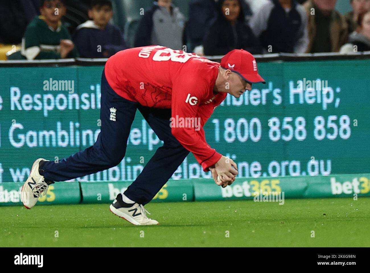 Harry finch hi-res stock photography and images - Alamy