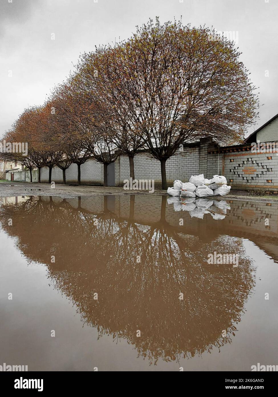 Plastic bags pollution puddle hi-res stock photography and images - Alamy