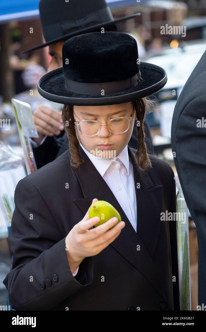 Ultra orthodox jewish man inspects etrog hi-res stock photography and ...