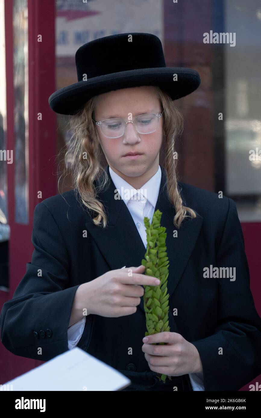 An teenage orthodox Jewish boy, shops for Hadassim - myrtle tree ...