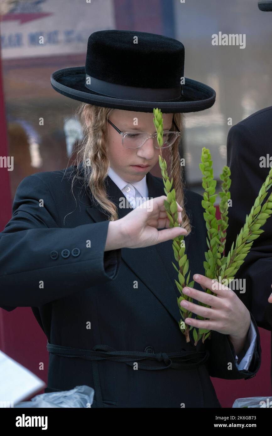 An orthodox jewish boy, apparently a teenager, shops for Hadassim ...