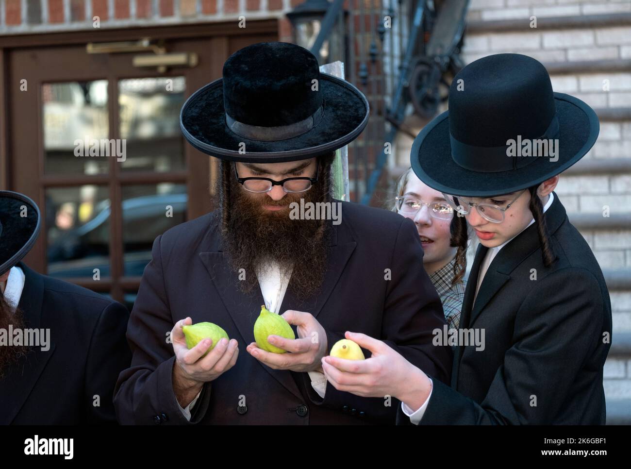 In preparation for Sukkos, a Hasdic family works togetehr selecting an ...
